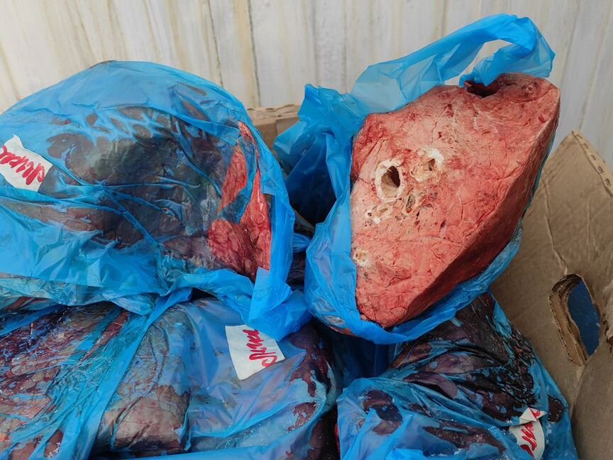 Легкое говяжьи, вымя, морды,фарш супр