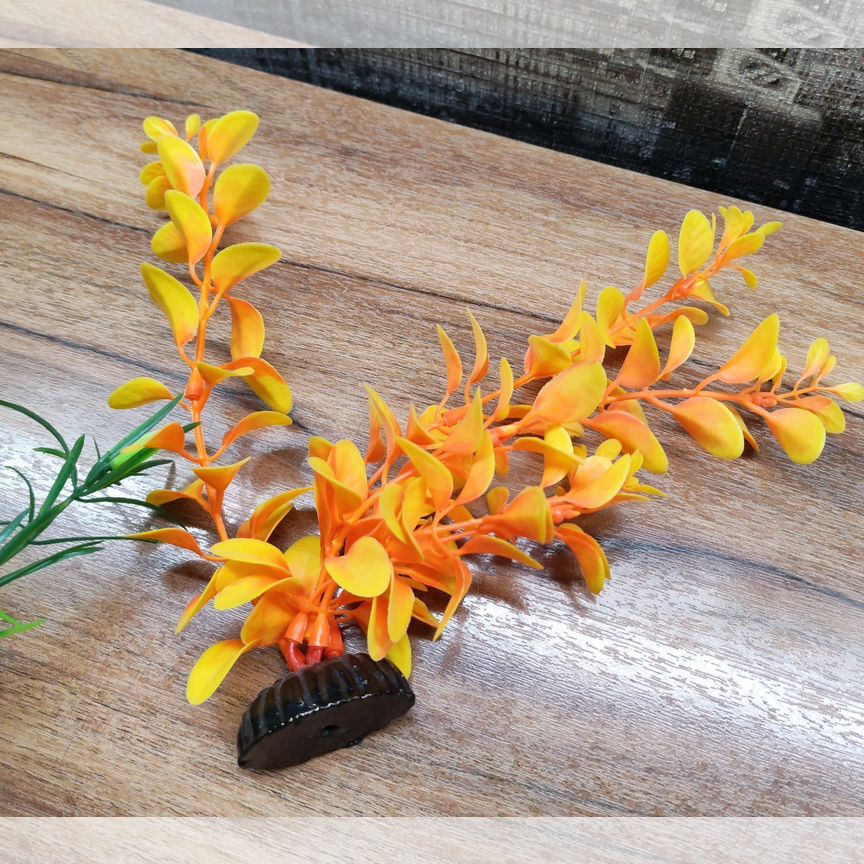 Растения декоративные для аквариума, домик