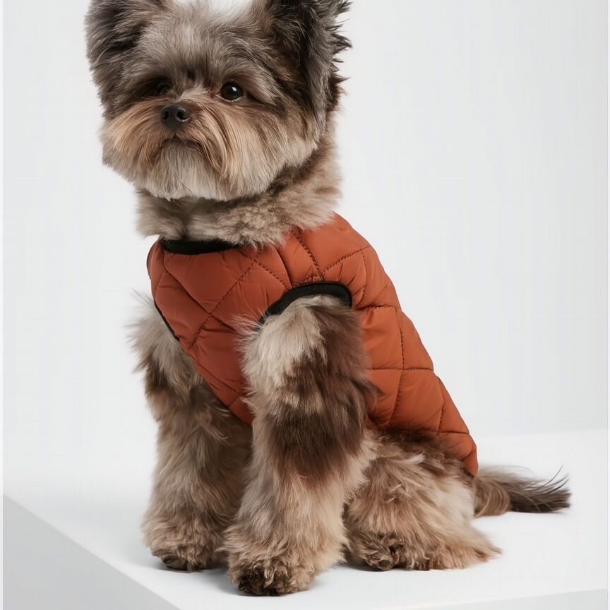 Жилетка для собак