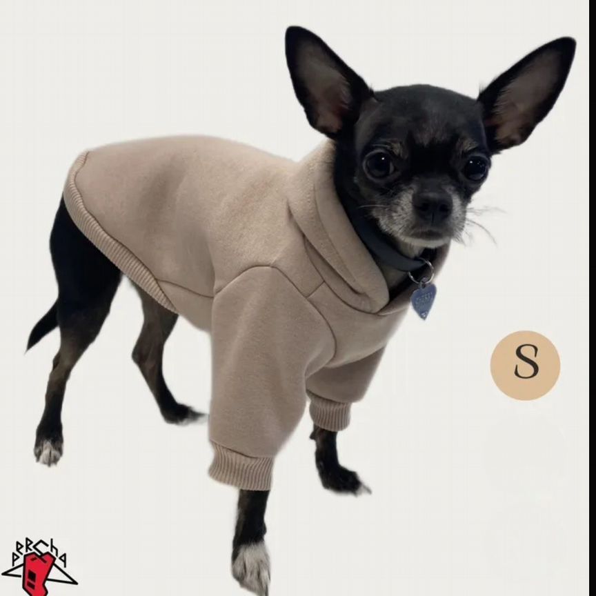 Одежда для животных