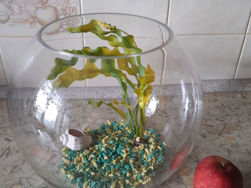 Аквариум сфера