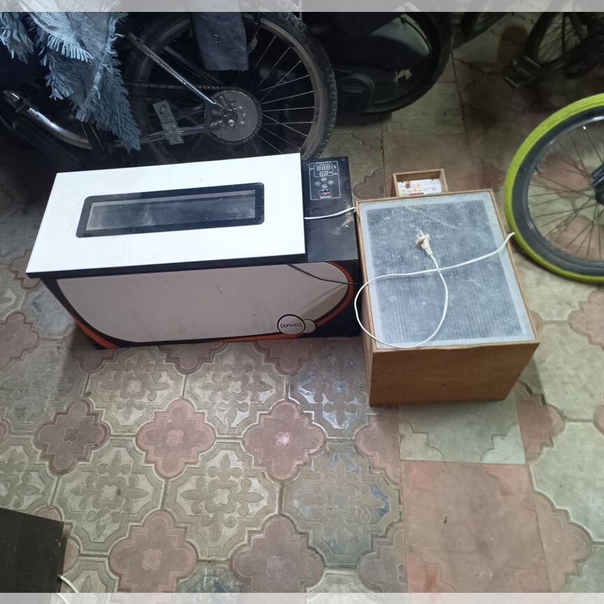 Инкубатор для яиц