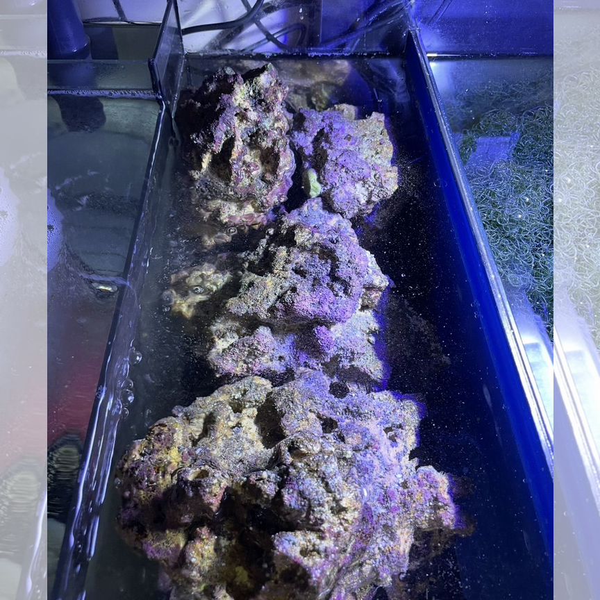 Камни для морского аквариума