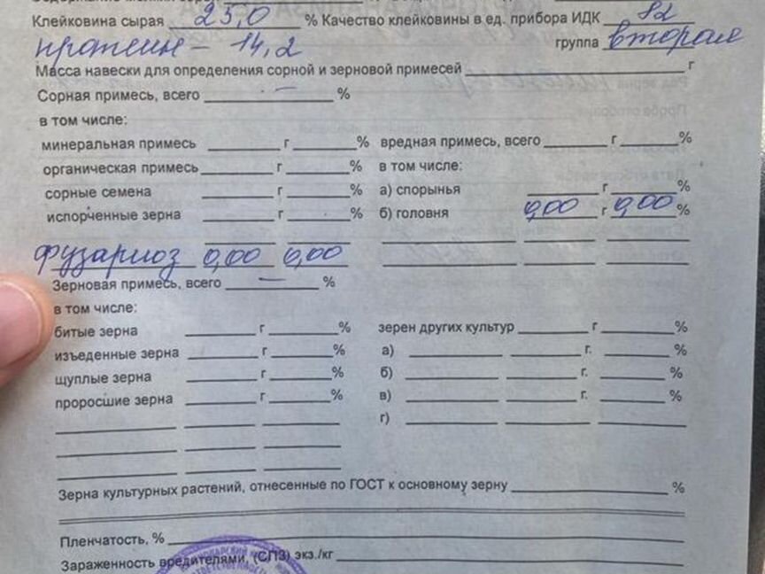 Пшеница 3 класс