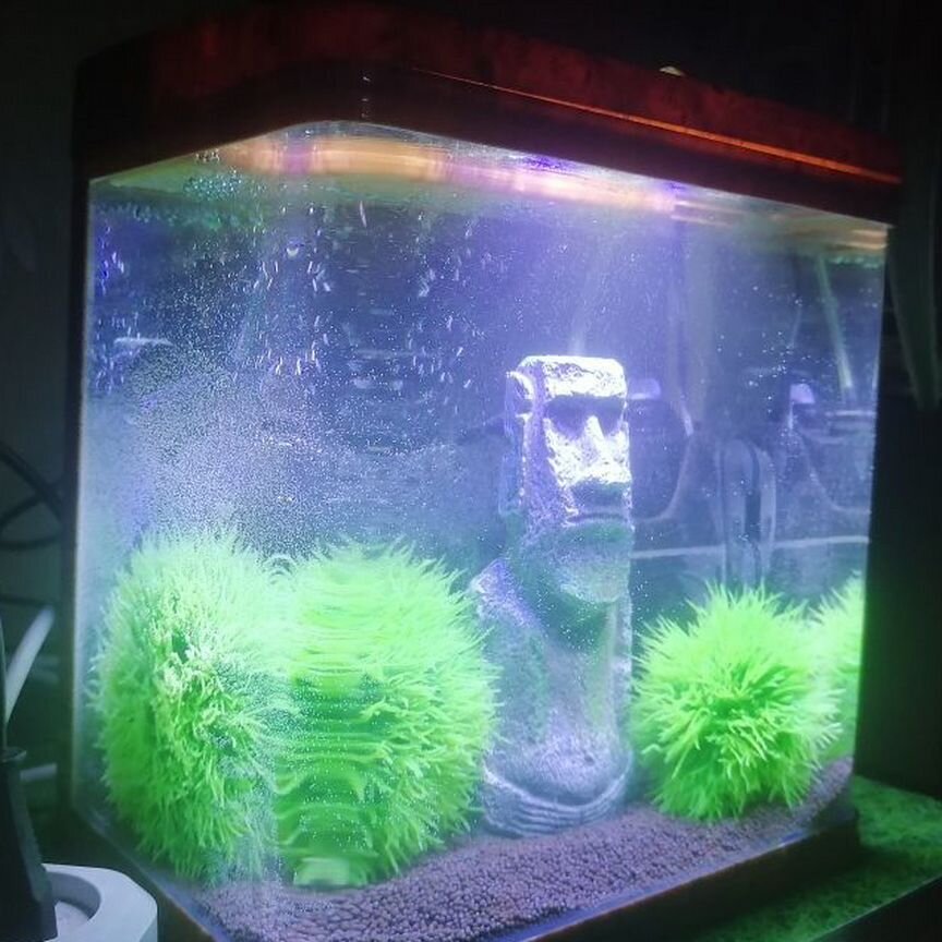 Аквариум barbus 7 л