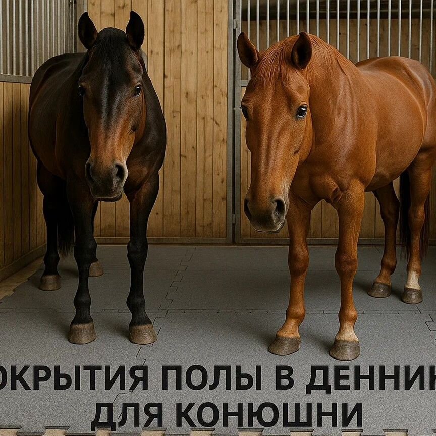 Резиновые маты для пола денника — Зеленогорск