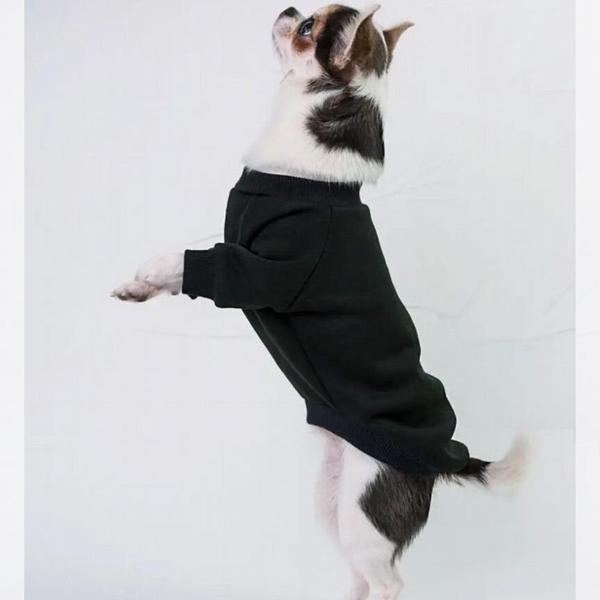 Толстовка для собаки или кошки