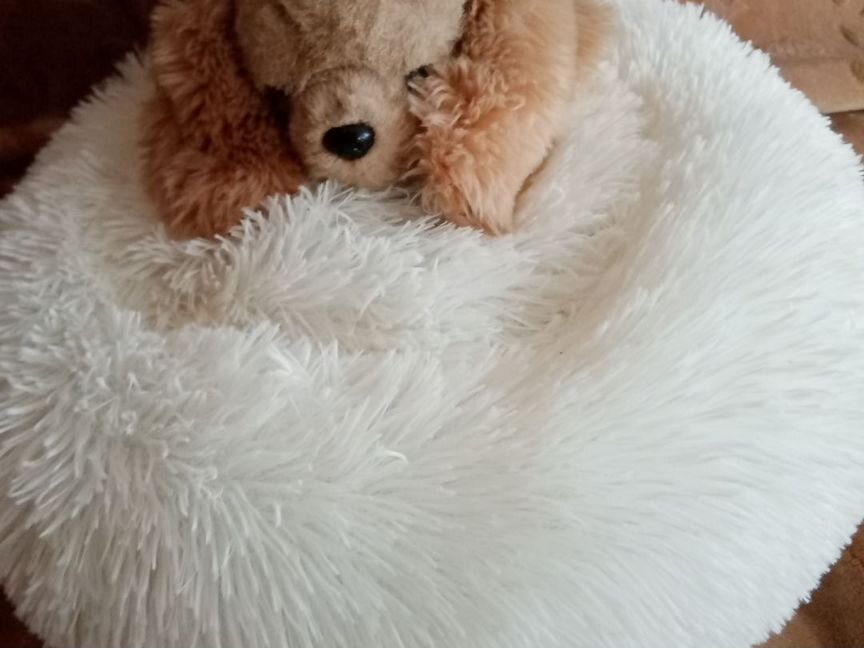 Аксессуар для отдыха кошечкам и котятам