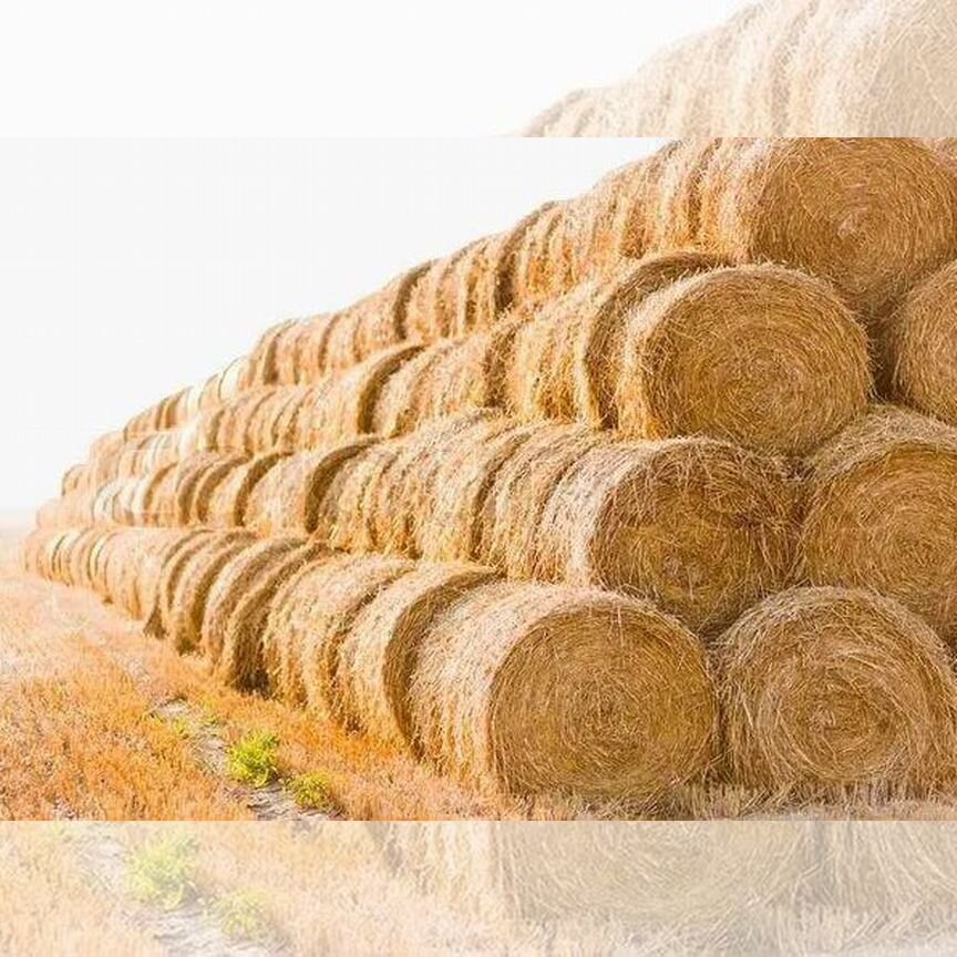 Солома в рулонах