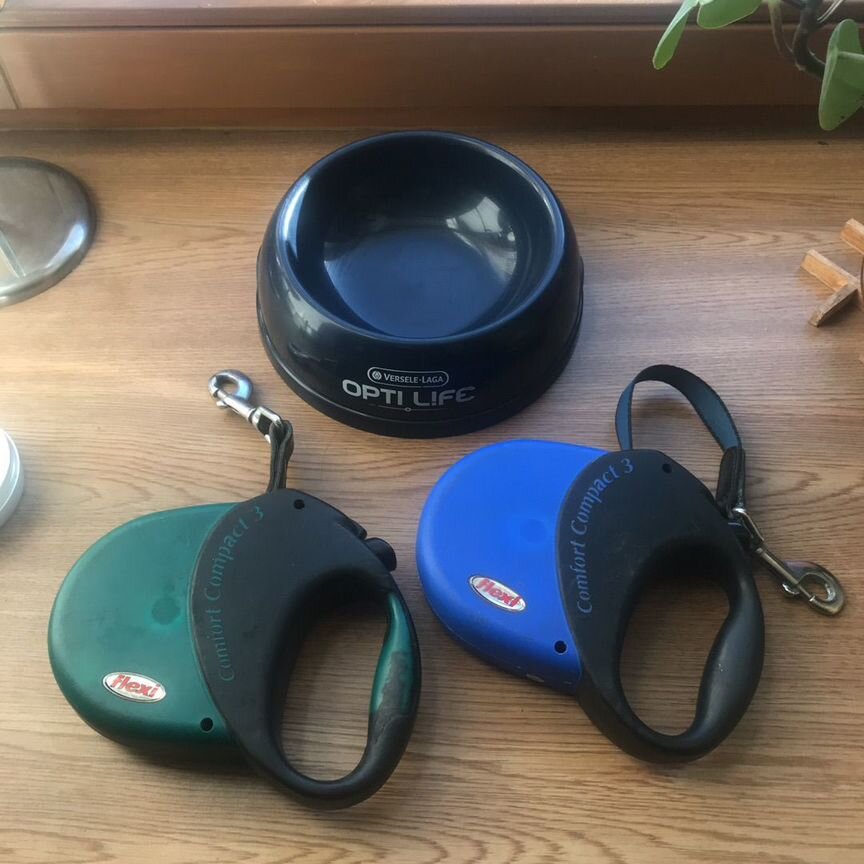 Рулетка и миска доя большой собаки