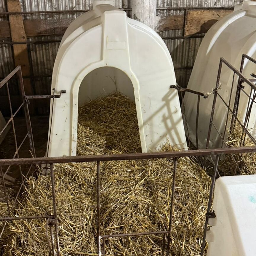 Индивидуальные боксы (домики) для телят