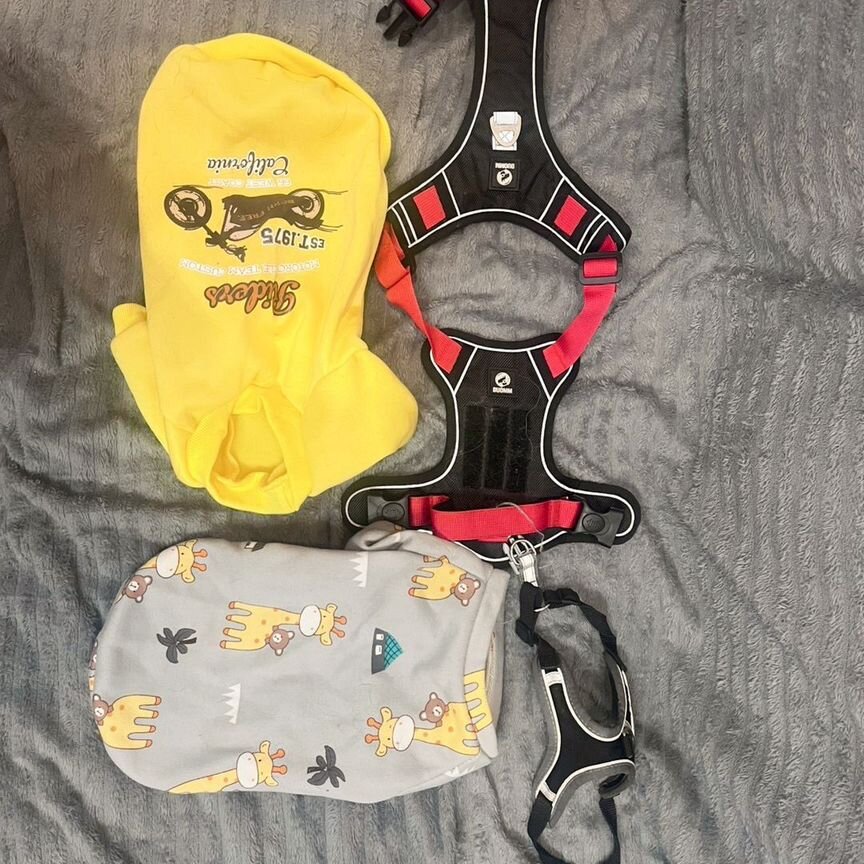 Шлейка для маленькой собаки