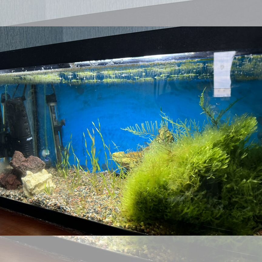 Аквариум с оборудованием 54 литра aquael