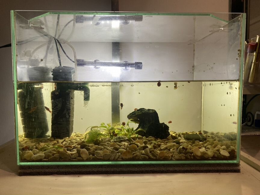 Аквариум 40л со всем оборудованием