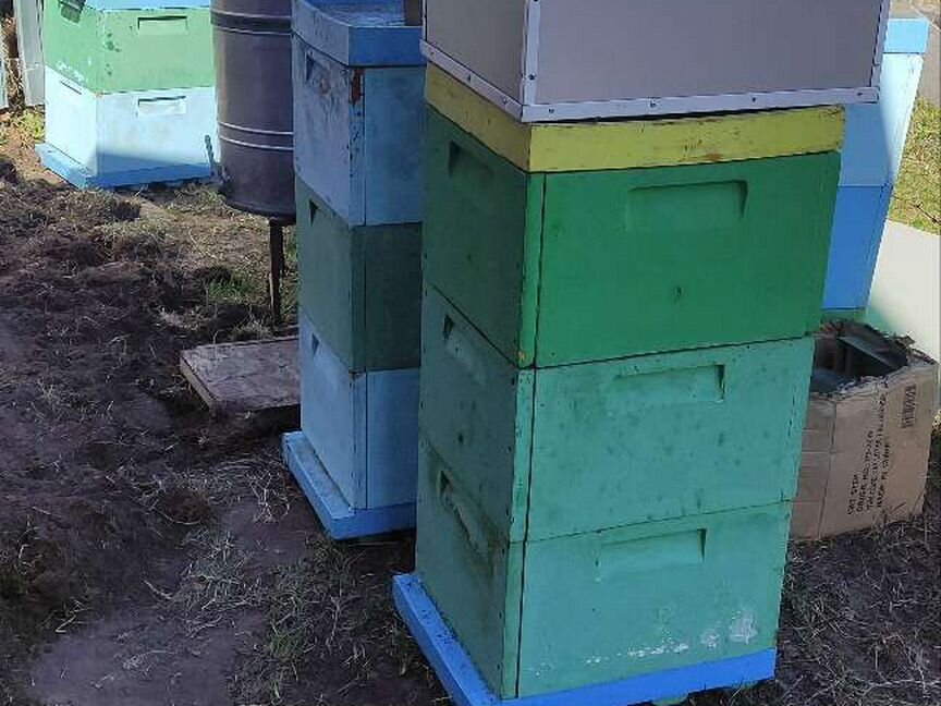 Улей ппу б/у