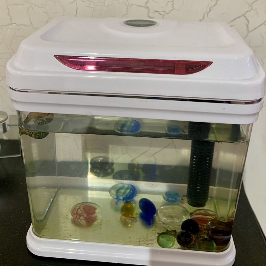 Аквариум с рыбкой