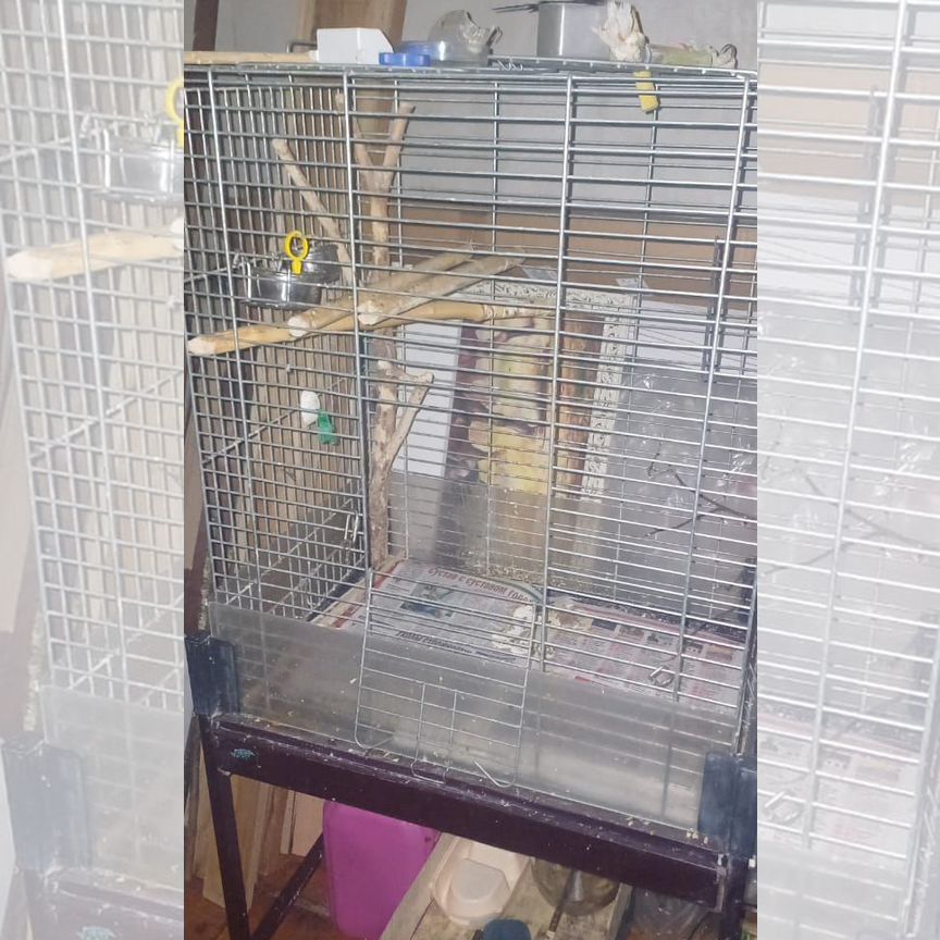 Клетка для попугая большая