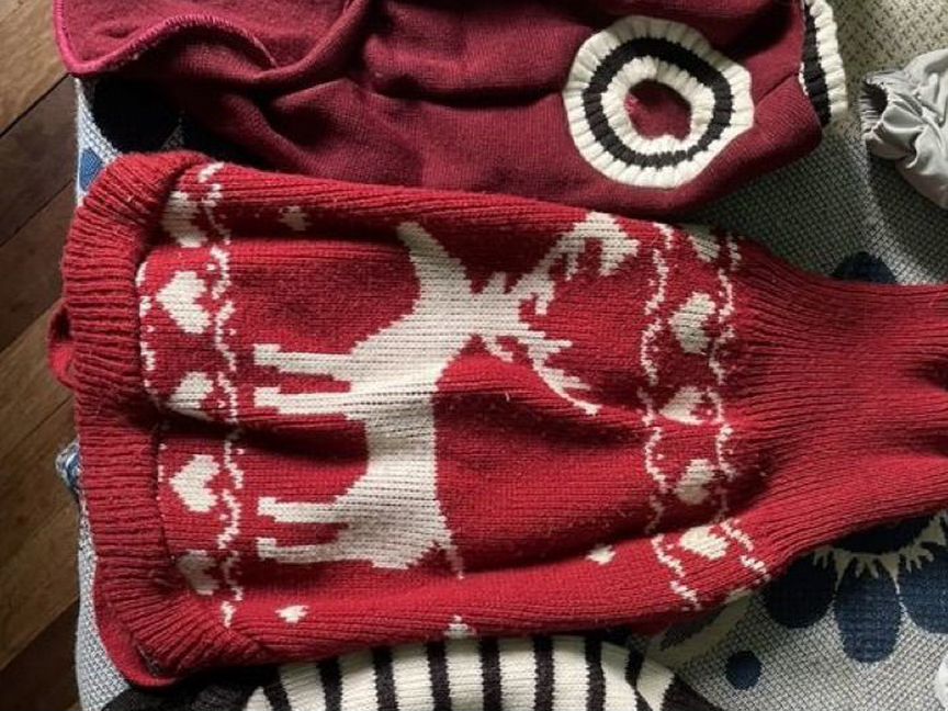 Одежда для маленьких собак