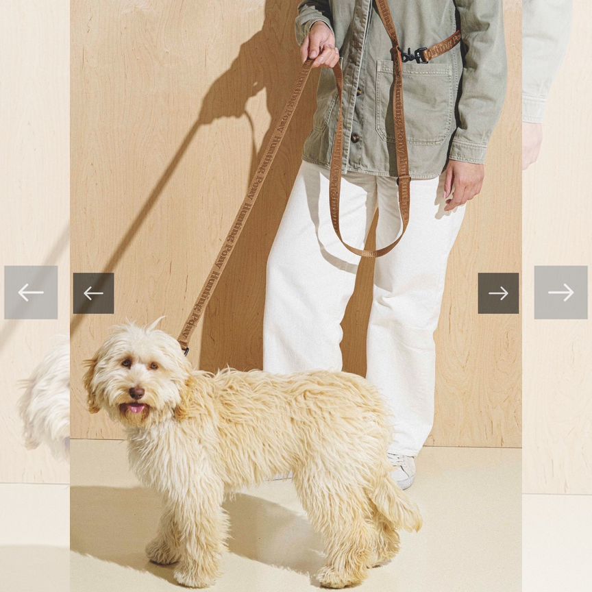 Поводок-пристежка Hunting Pony