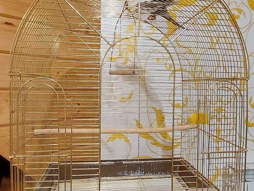 Клетка для птиц, попугая, грызунов