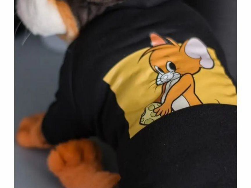 Одежда на собачку