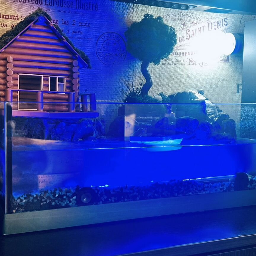 Аквариум диарома