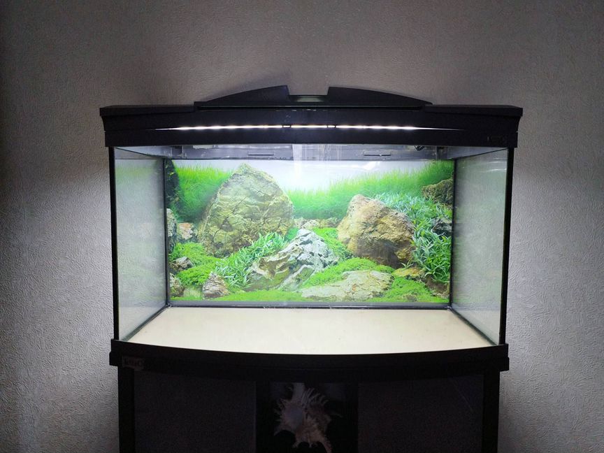 Аквариум Tetra 100л