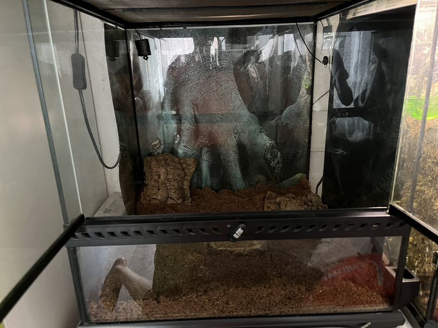 Террариум exo terra 45x45x45