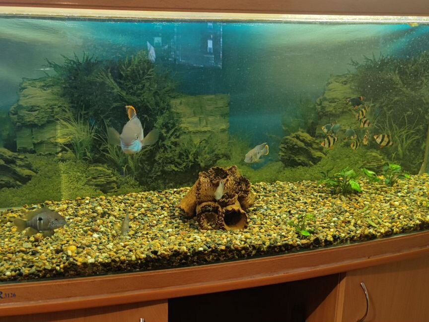 Аквариум jebo 3126