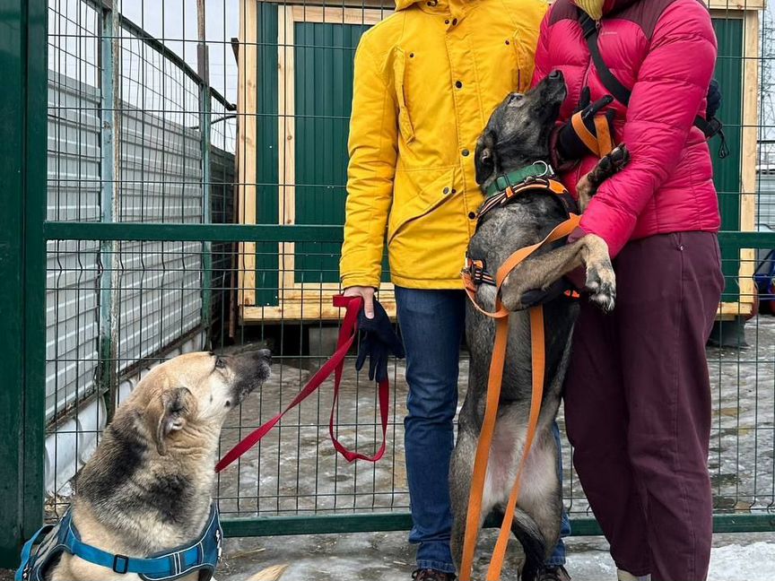 Ветошь для приюта