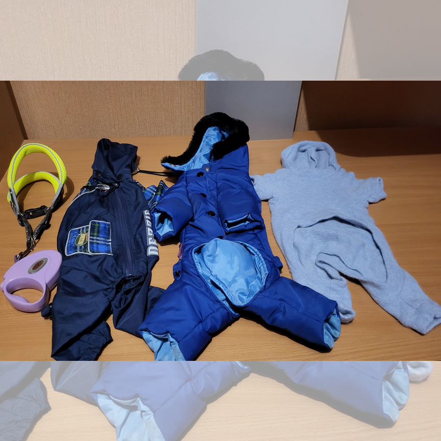 Продам вещи для собаки