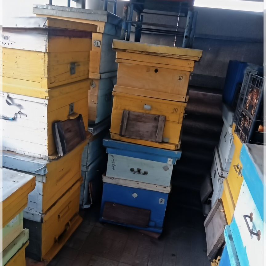 Ульи для пчел бу