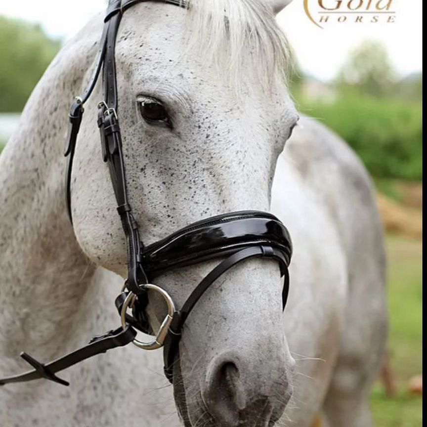Уздечка для лошади