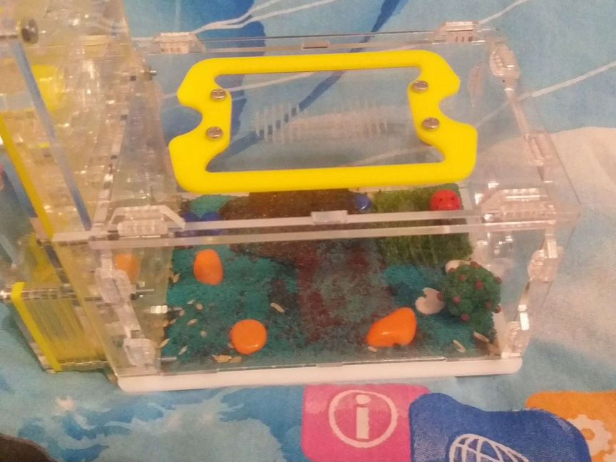 Муравьиная ферма