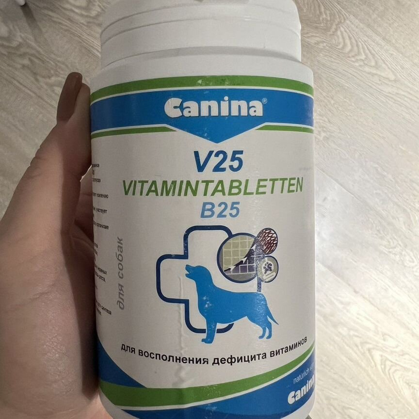 Canina V25