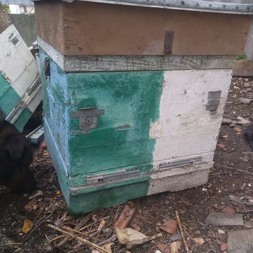 Улей для пчел бу