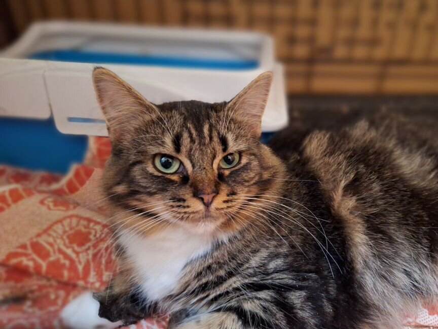 Никто не любит