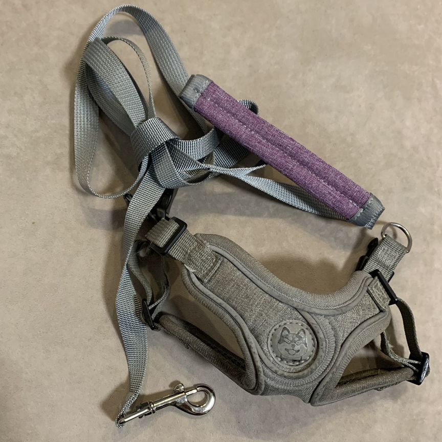 Шлейка для маленькой собаки или кошки