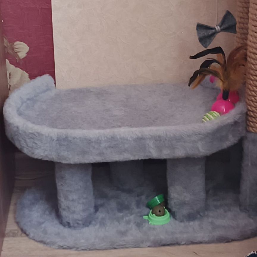 Когтеточка бу