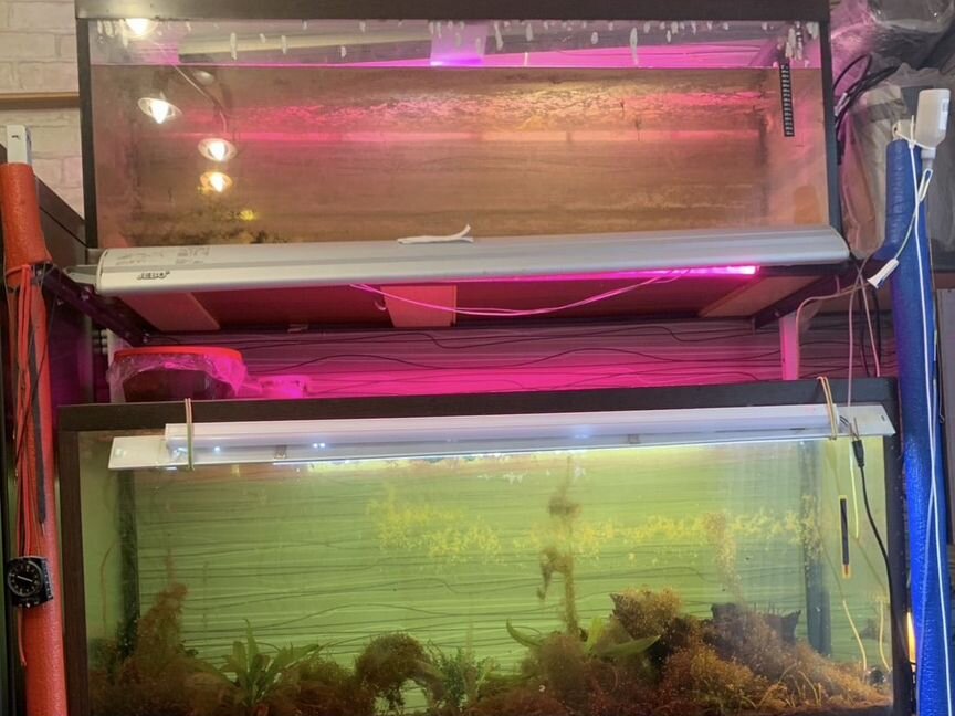 Стойка с аквариумами