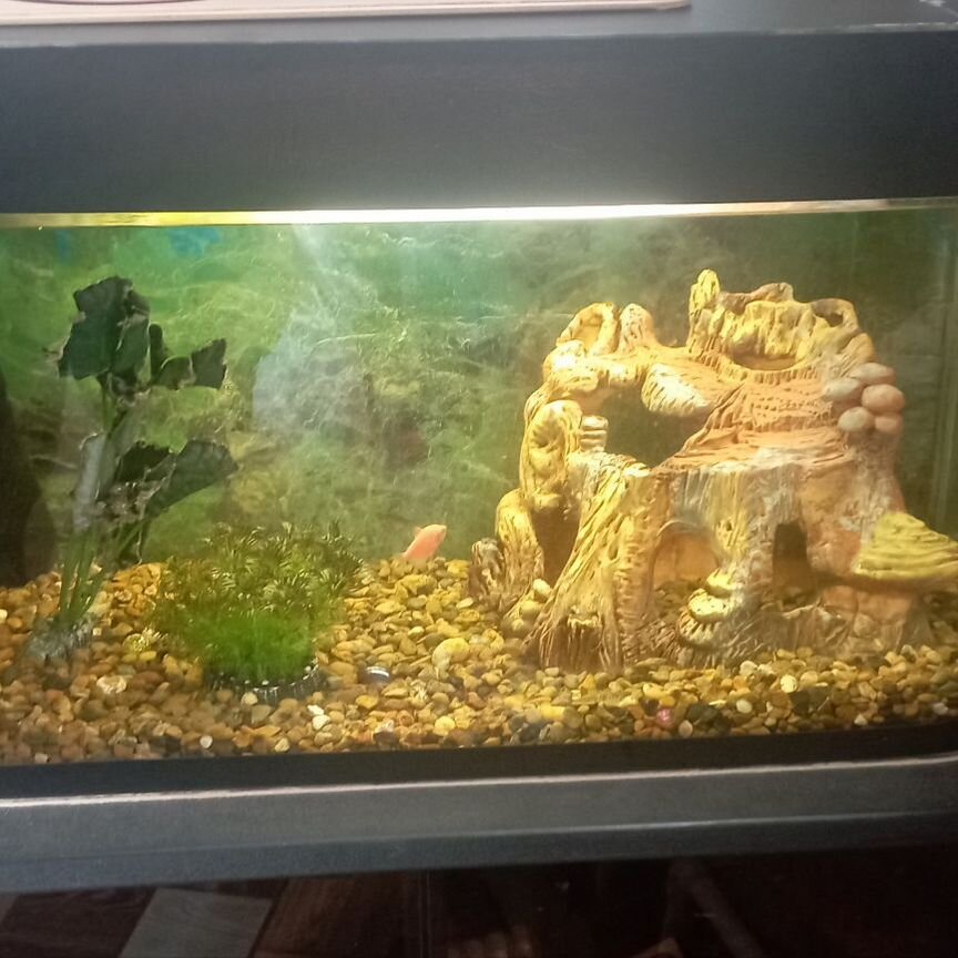 Аквариум с тумбой бу