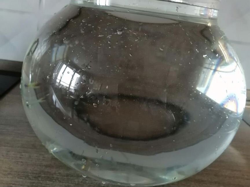 Аквариум круглый 10л.,1.6л.,анабиус(растение)