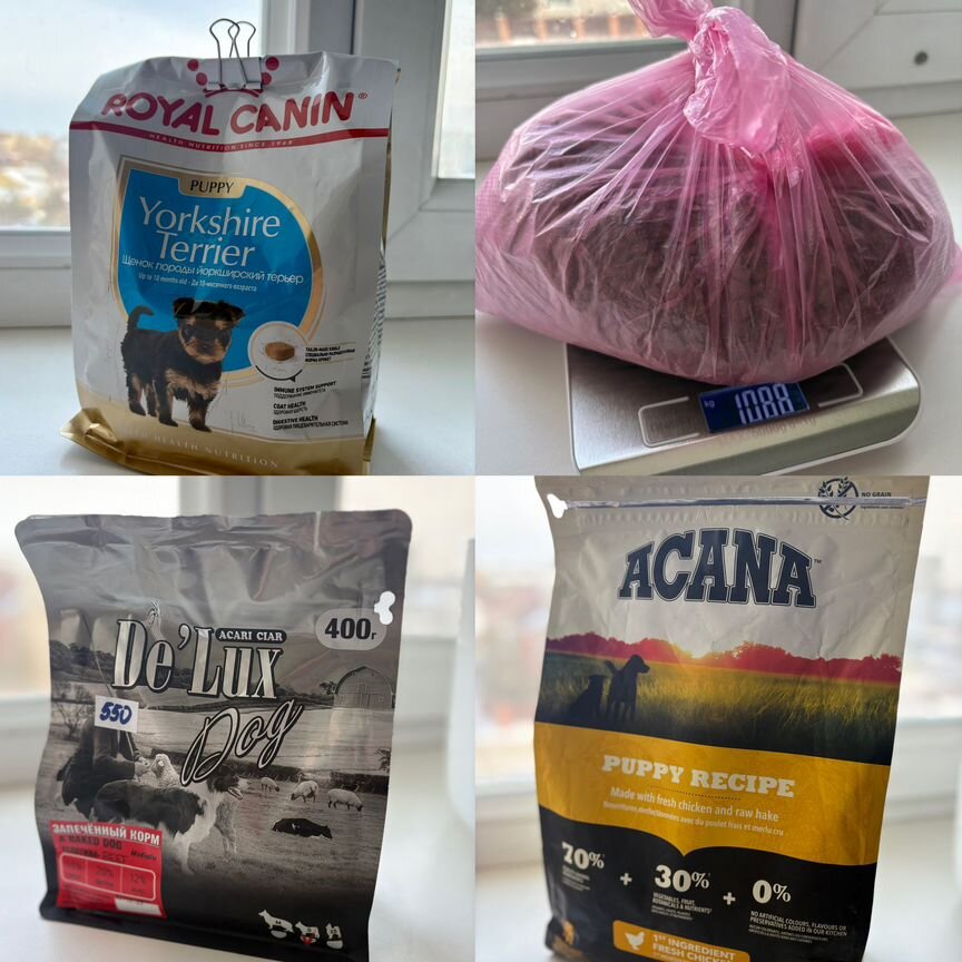 Корм для собак