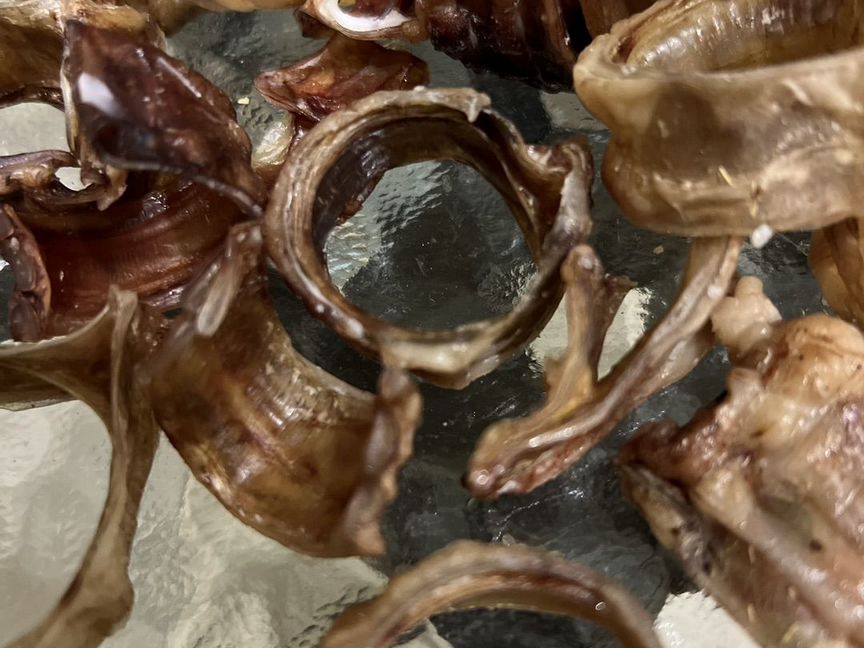 Трахея говяжья