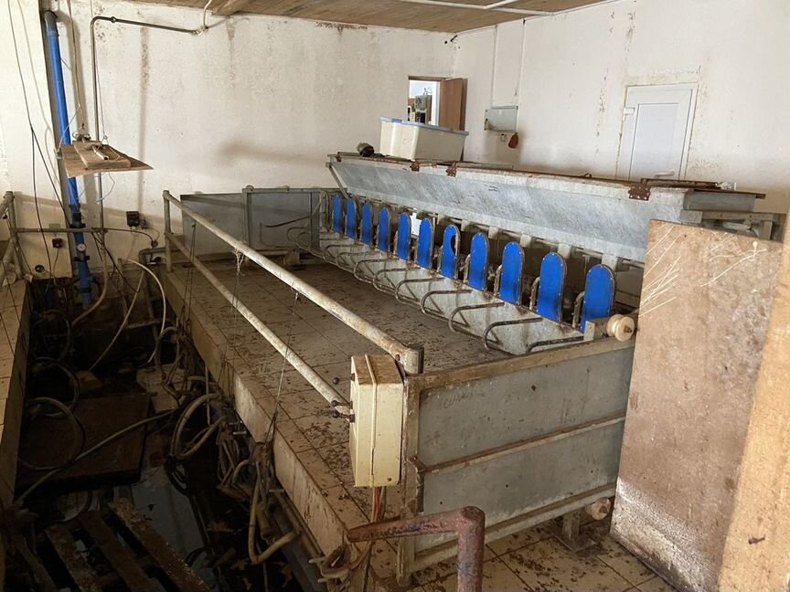 Доильный зал для коз