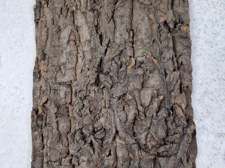 Кора для декора террариума