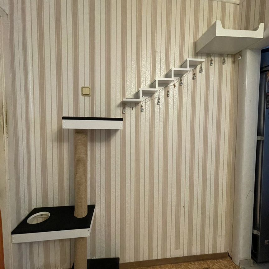 Комплекс для кошек