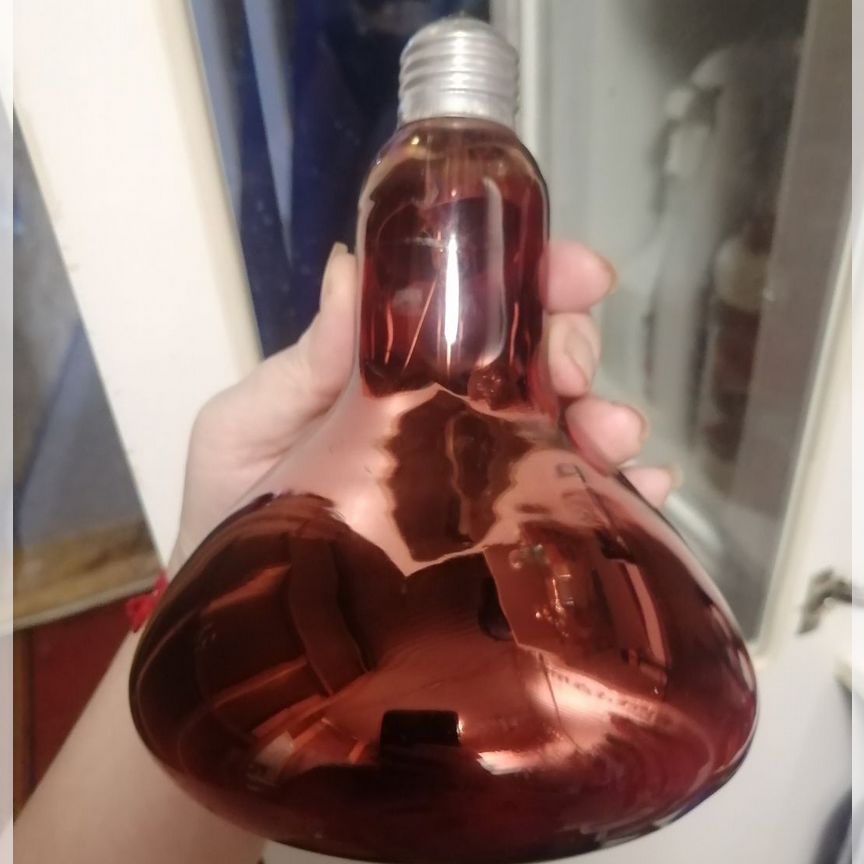 Лампочка для кур