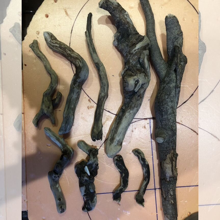 Коряга Дрифтвуд