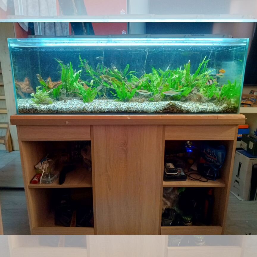 Аквариум с тумбой и рыбками